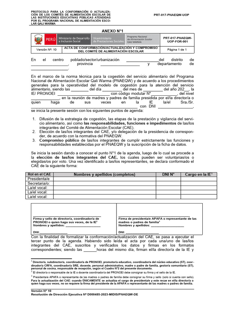 Formatos CAE - 2024 | PDF