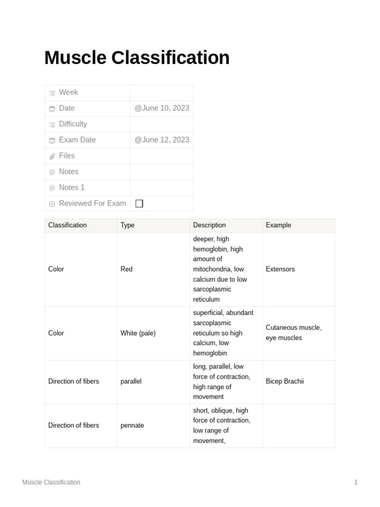 Muscle Classification | PDF | Skeletal Muscle | Muscle Contraction