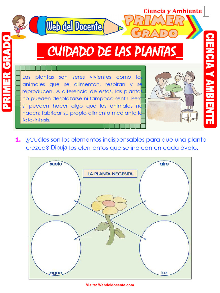 Cuidados de Plantas para Niños | PDF | Ciencia y matemáticas