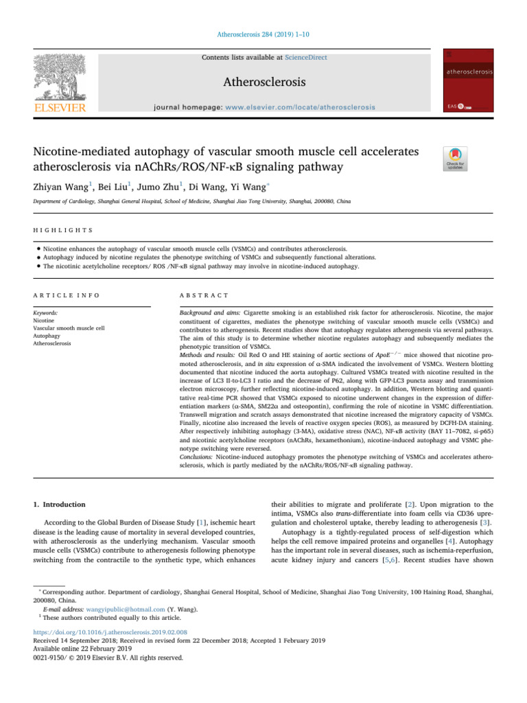 Modelagem De Dados Com O Sql Developer Data Modeler Pdf Atherosclerosis Autophagy