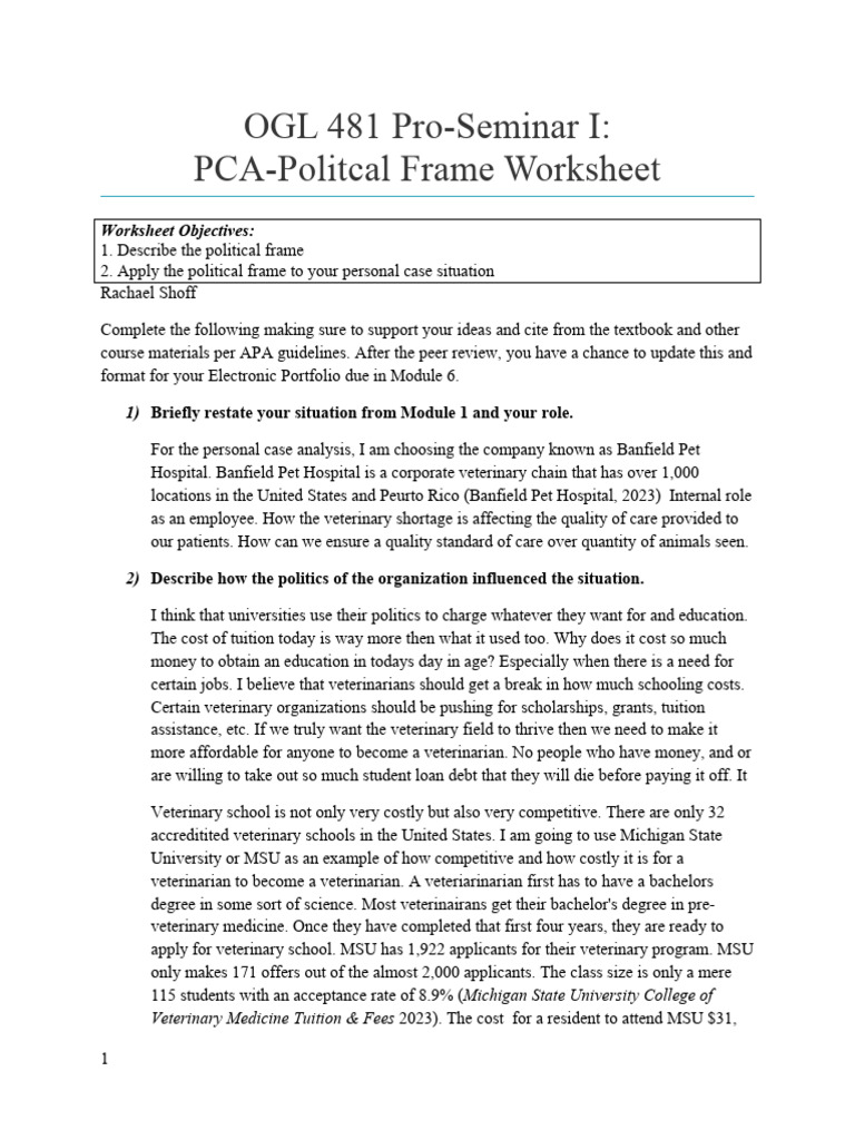 4 Political Frame Worksheet 4 | PDF | Social Science | Self-Improvement