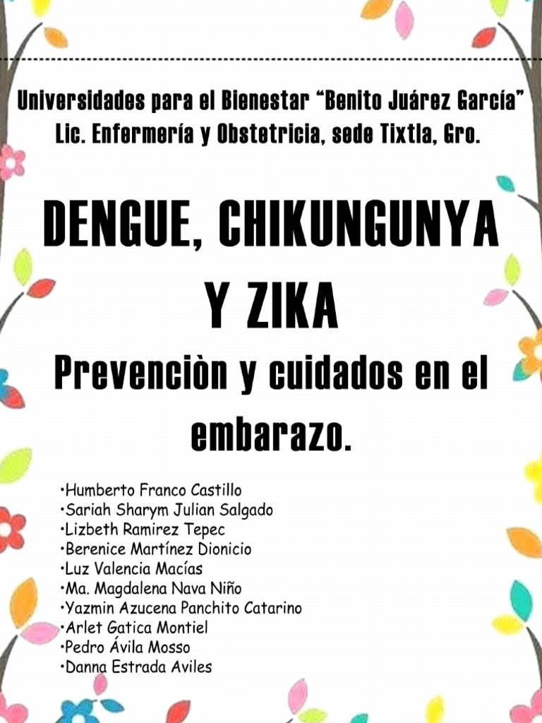 Orientación A La Mujer Embarazada en Caso de Dengue, Chinconcuya y Zika ...