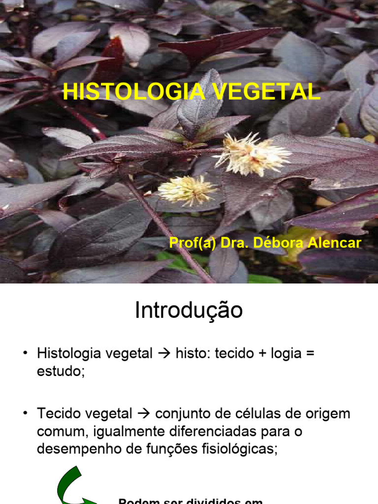 Aula 5 - Histologia-Vegetal | PDF | Tecido (Biologia) | Eucariotas