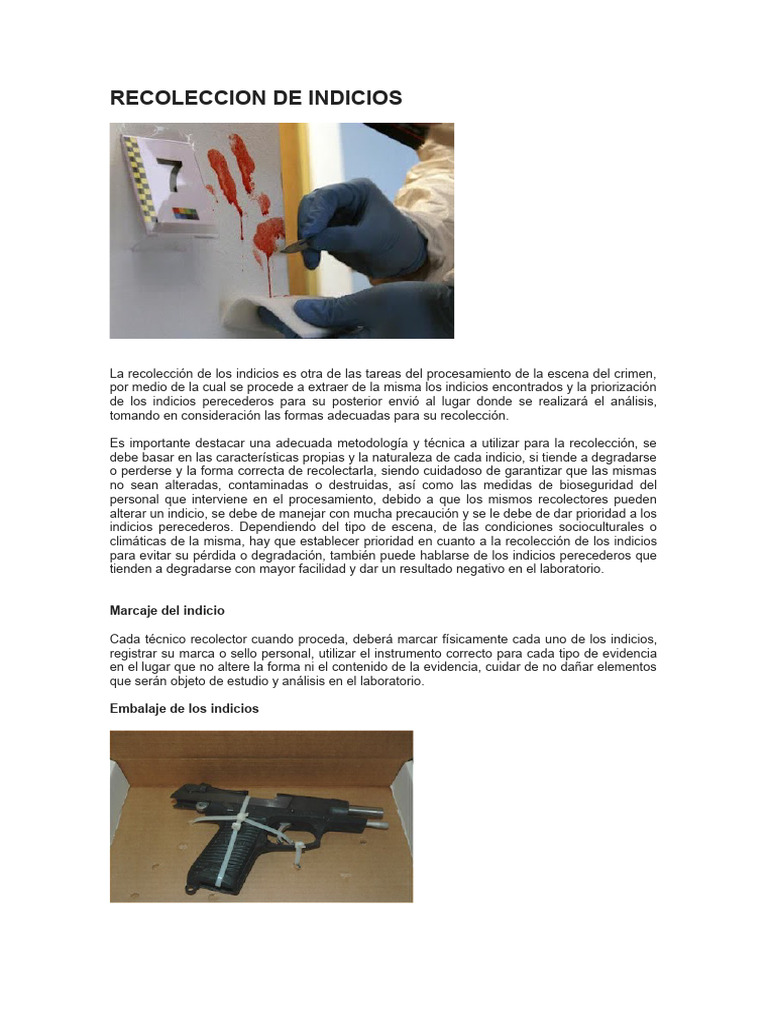 Recoleccion de Indicios | PDF | Papel