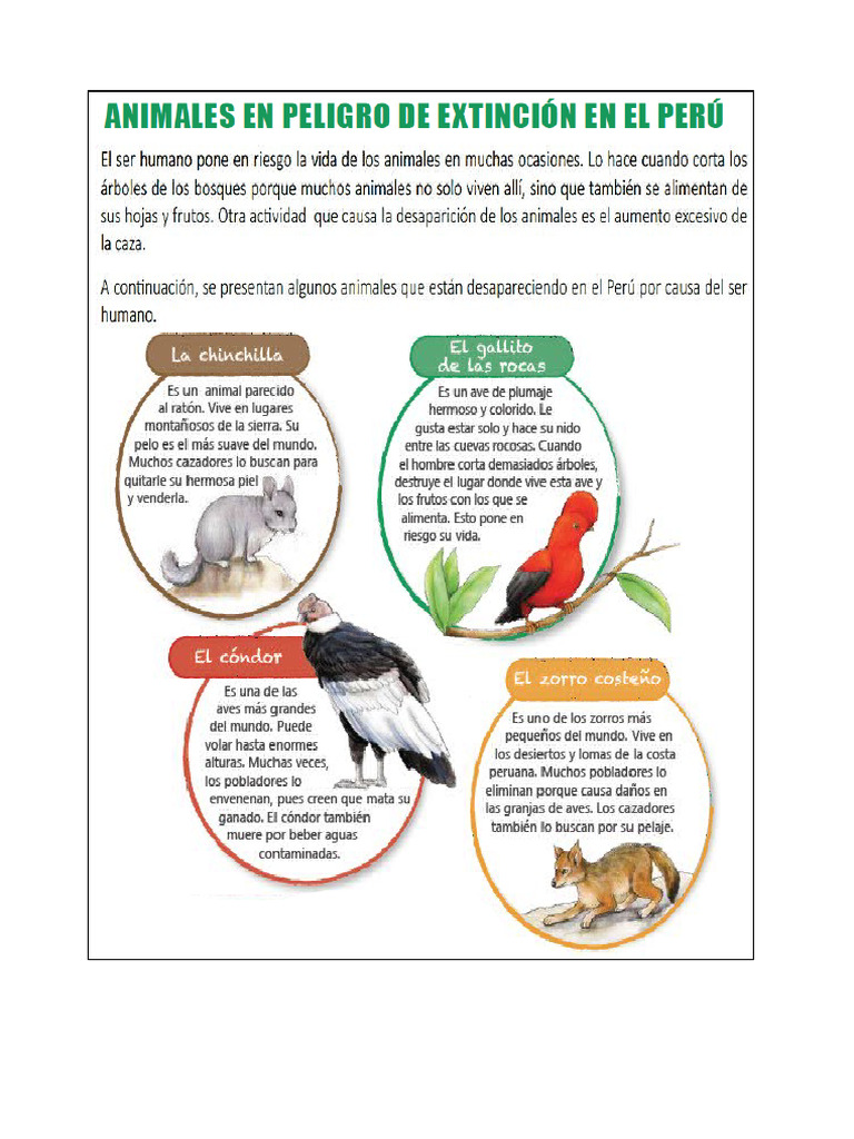 Animales en Peligro de Extincion en El Peru TEXTO Lectura Nivel Mediano ...