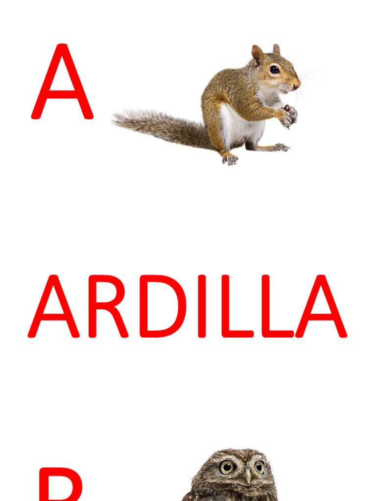 Abecedario Animales 1 | PDF