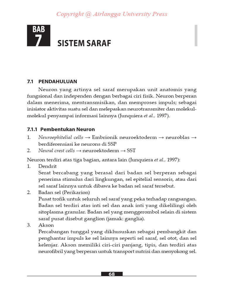 Jaringan Saraf | PDF