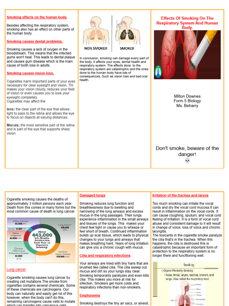 Biology Brochure | PDF | Respiratory Tract | Lung