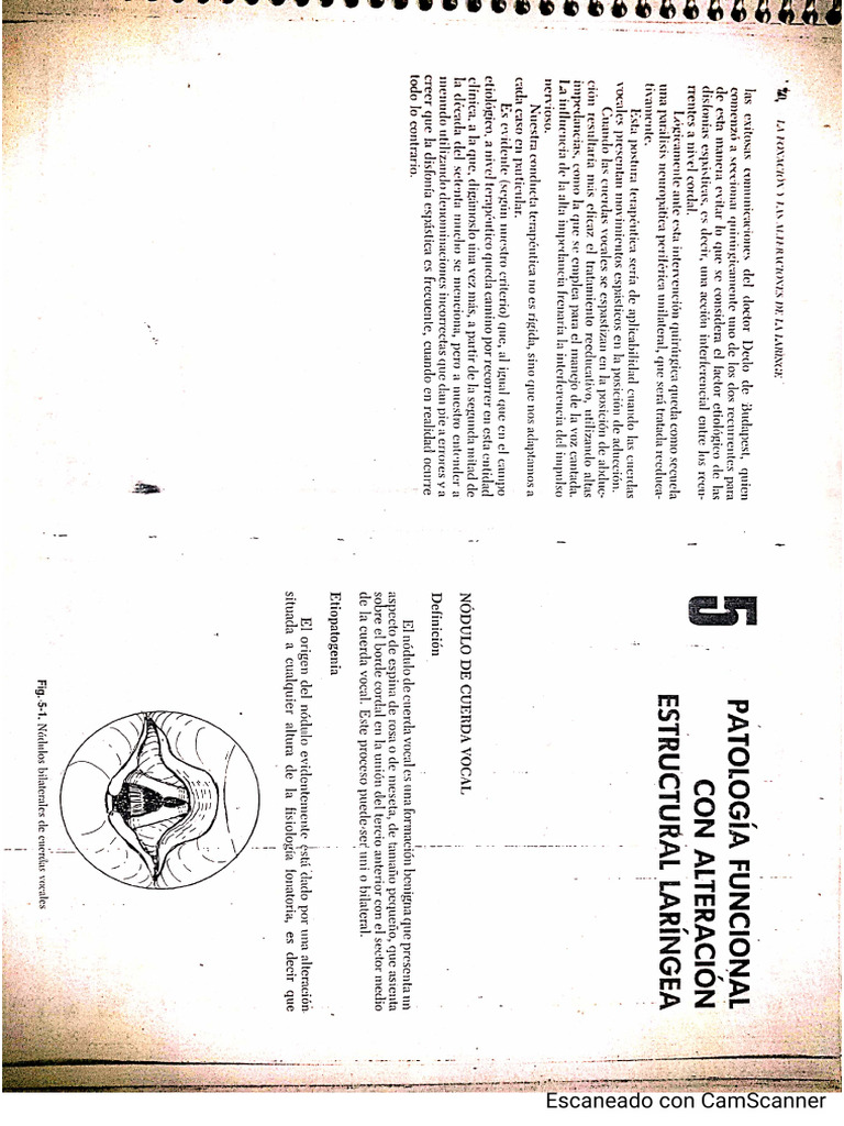 Fonación y Alteraciones de La Laringe - J. González | PDF