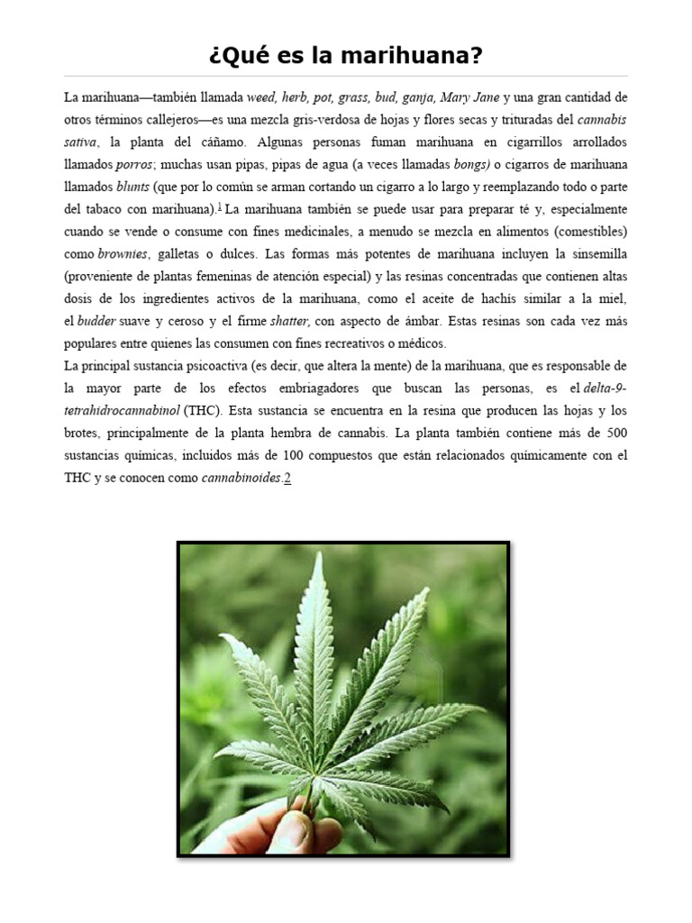Qué Es La Marihuana | PDF | Cannabis (Droga) | Cocaína Qué Es La Marihuana | PDF | Cannabis (Droga) | Cocaína