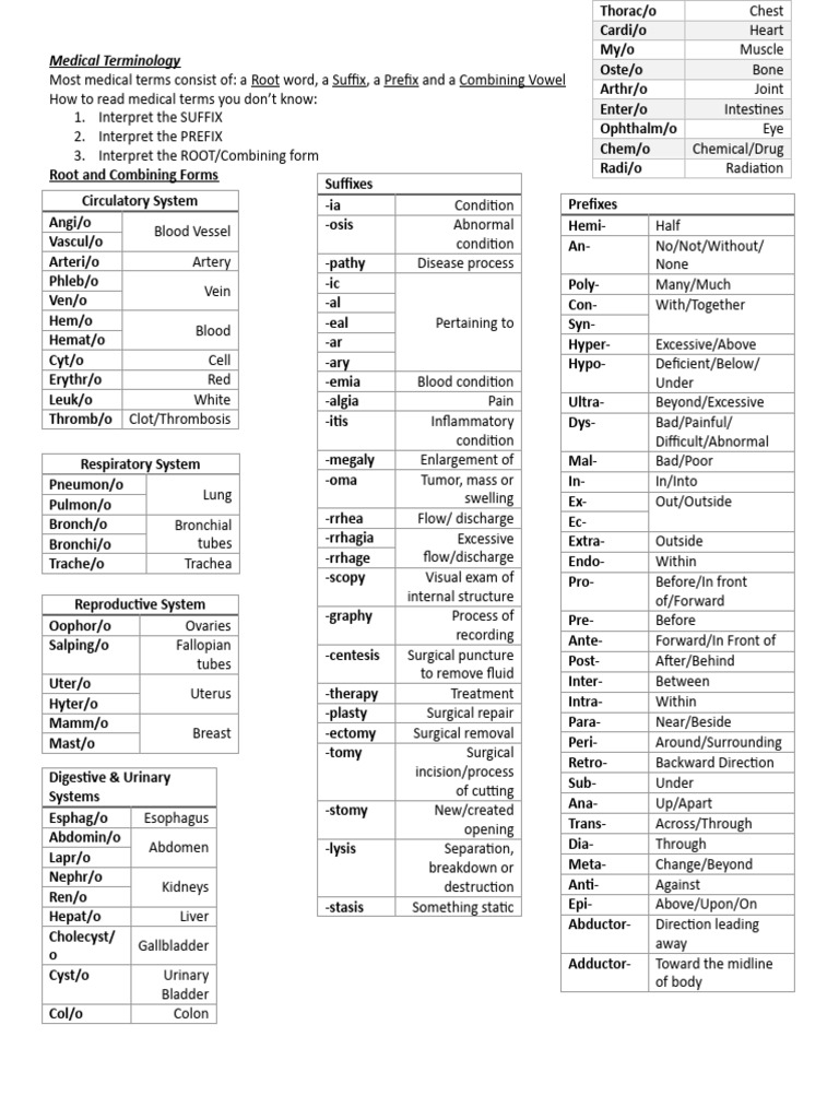 Medical Terminology | PDF | Anatomy | Morphology (Biology)