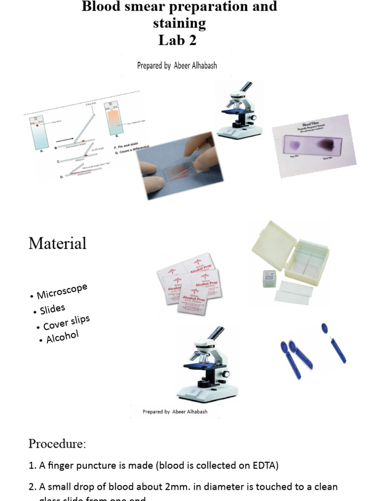 Blood Smear Preparation and Staining Guide | PDF