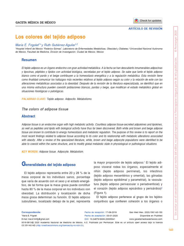 Tejido Adiposo | PDF | Tejido adiposo | Leptina