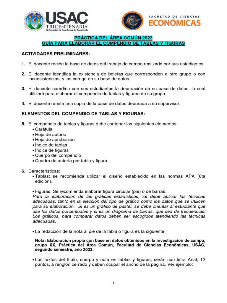 Guía para Elaborar Compendio de T&F | PDF