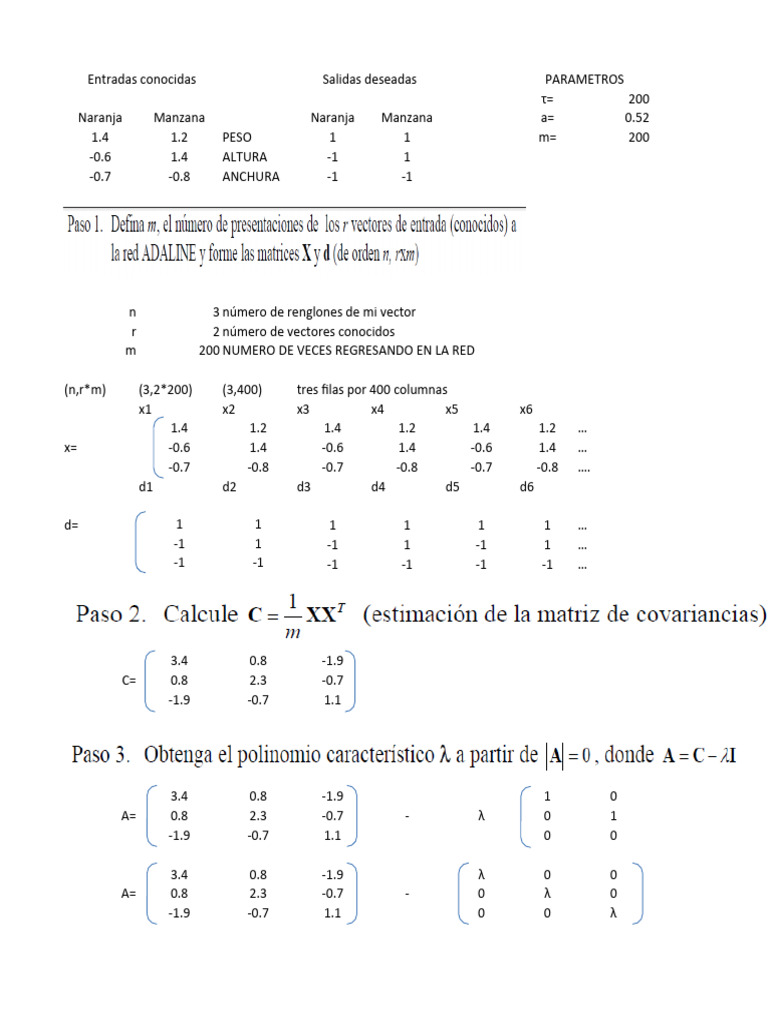 Adaline 1 y 2 en Blanco (Redes Neuronales) | PDF | Álgebra | Álgebra lineal