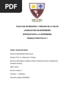 Teoría del Déficit de Autocuidado | PDF | Enfermería | Cuidado de la salud