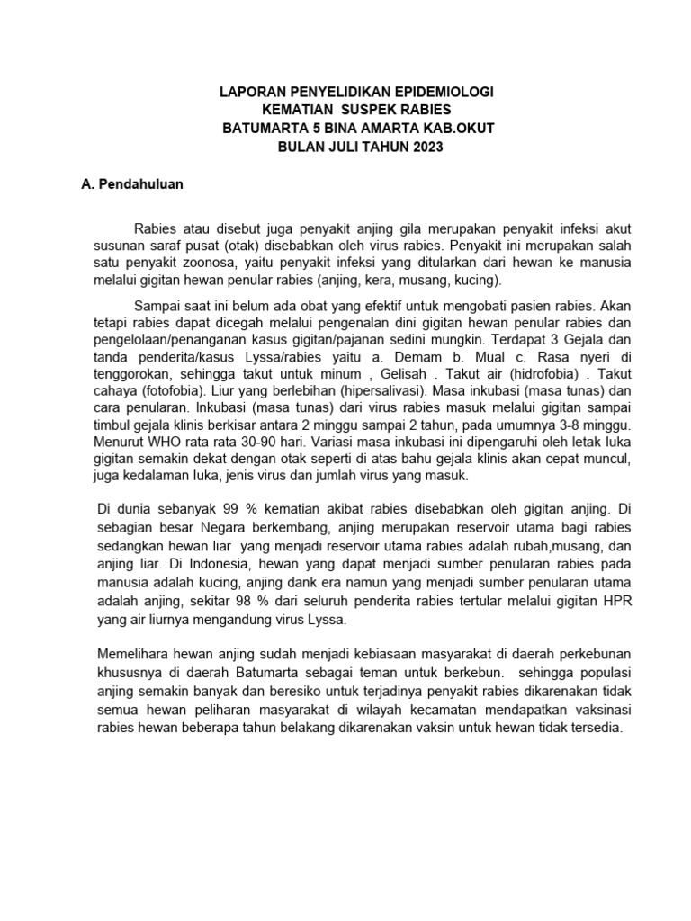 Lap. Pe Rabies | PDF