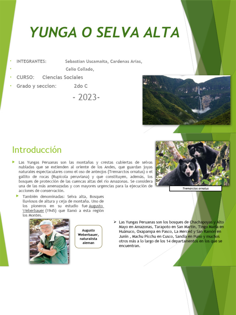 PPT Yunga | PDF | Perú | Ciencias de la Tierra