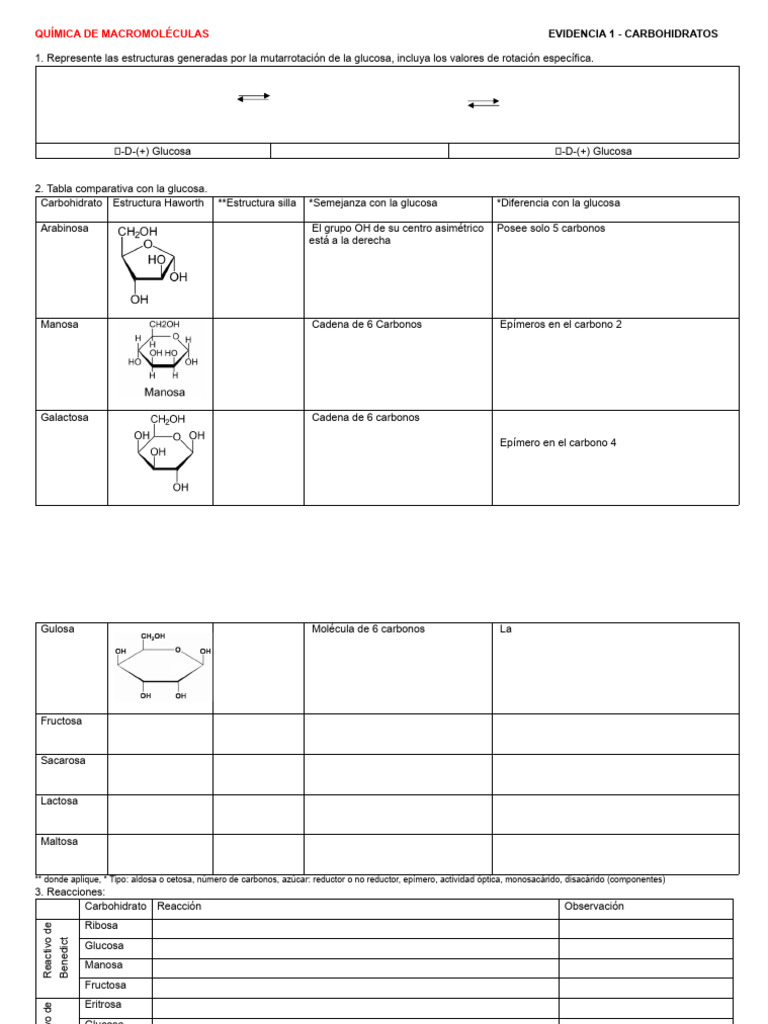 Evidencia Macro | PDF