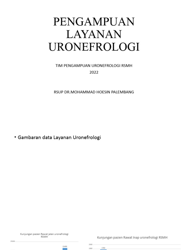 Layanan Uronefrologi RSMH 2022 | PDF | Urology | Medical Treatments