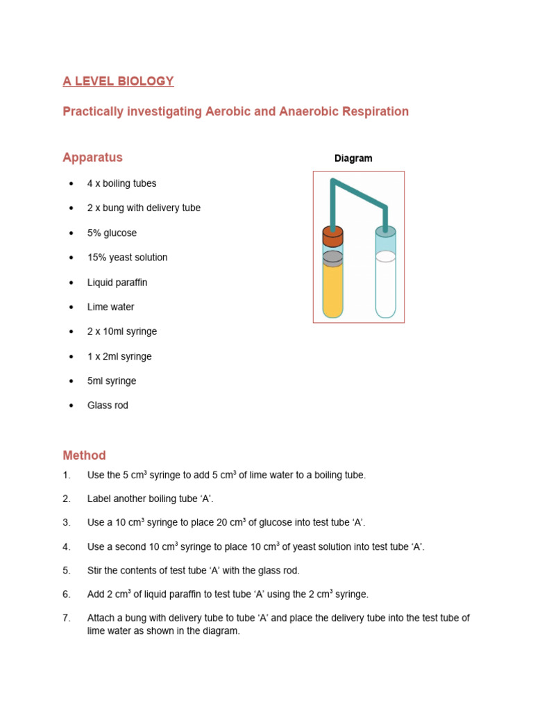 Yeast Anaerobic Respiration Experiment | PDF | Water | Cellular Respiration