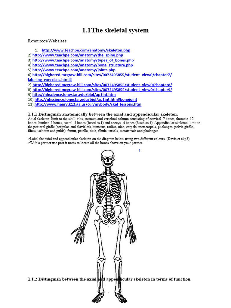 1.1 Skeletal Student Booklet | PDF | Skeleton | Anatomical Terms Of ...