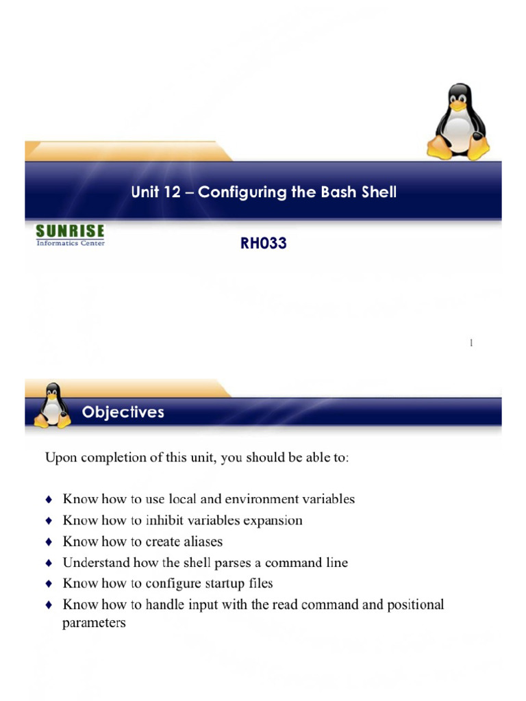 Lec - Unit 12 - Configurating The Bash Shell | PDF Lec - Unit 12 - Configurating The Bash Shell | PDF