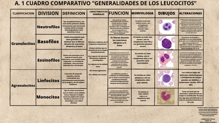 Generalidades de Los Leucocitos | PDF | Leucocito | Sistema inmune