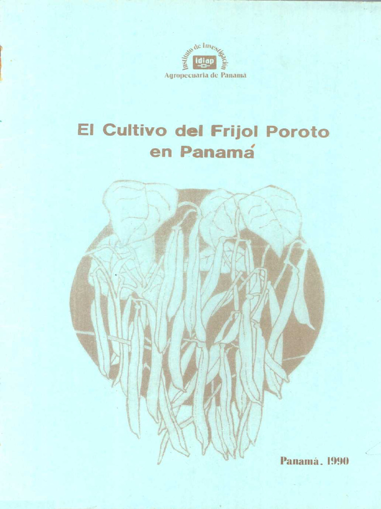 Cultivo de Frijol Poroto en Panamá | PDF | Siembra | Agricultura