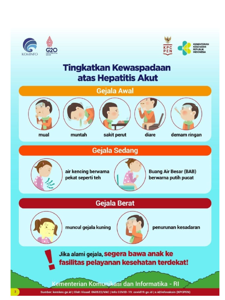 Hepatitis | PDF