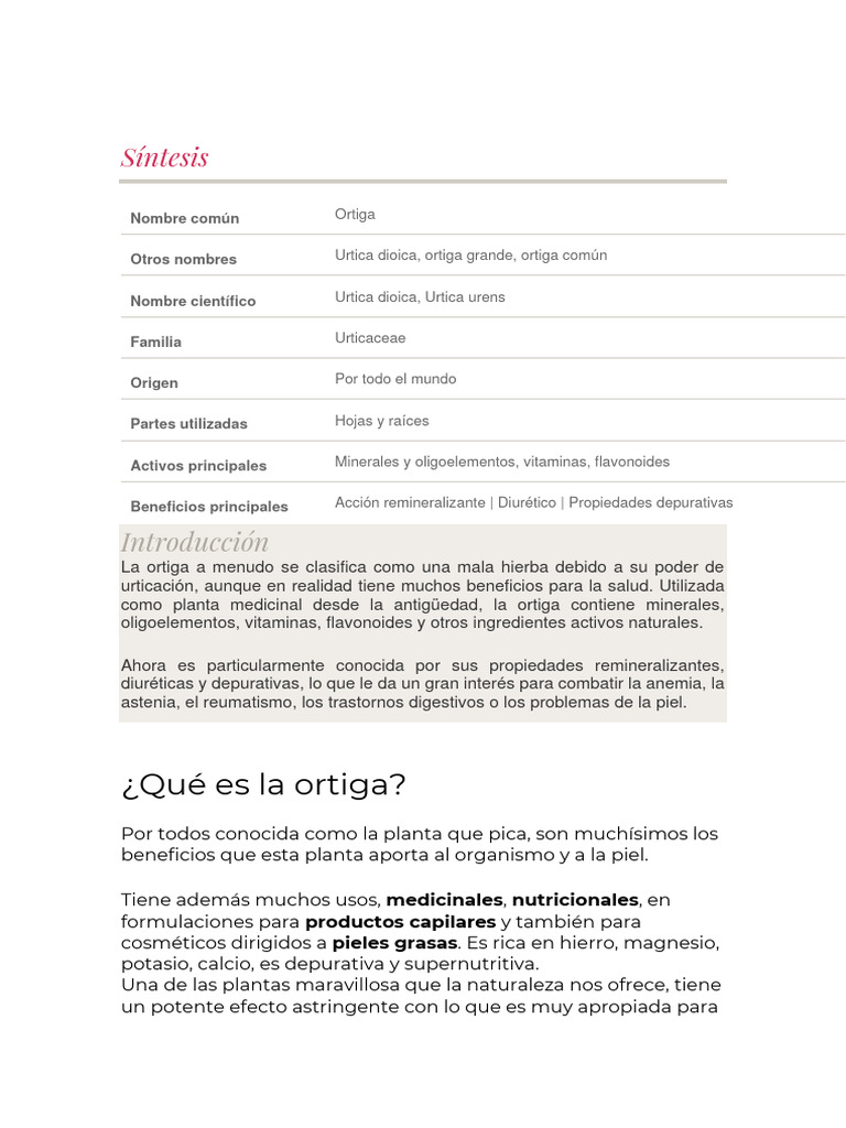 Beneficios y Usos de la Ortiga | PDF