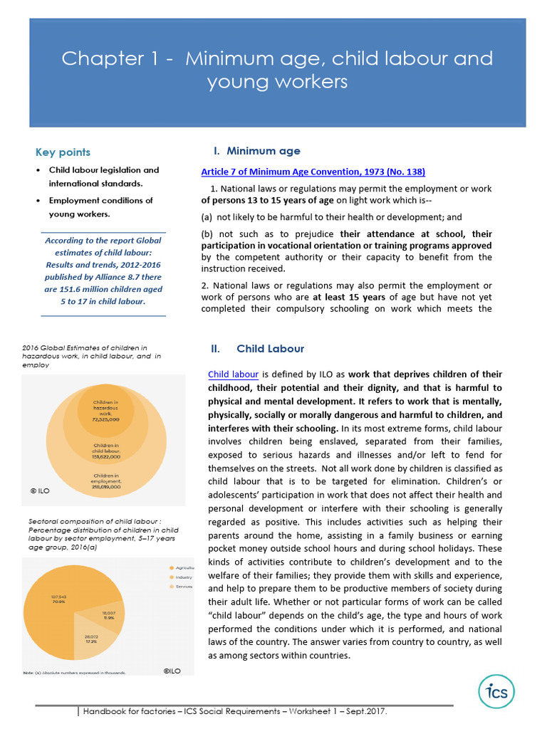 Chapter 1 Minimum Age Child Labour Young Workers | PDF | Child Labour ...
