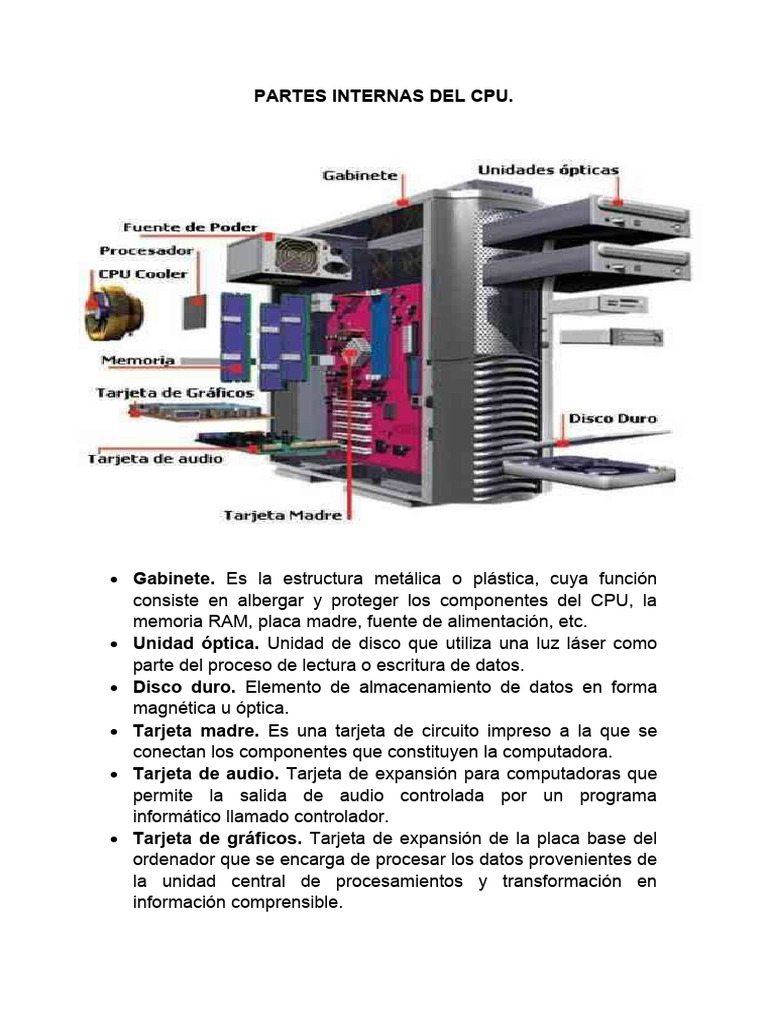 Partes Internas Del Cpu | PDF | Informática