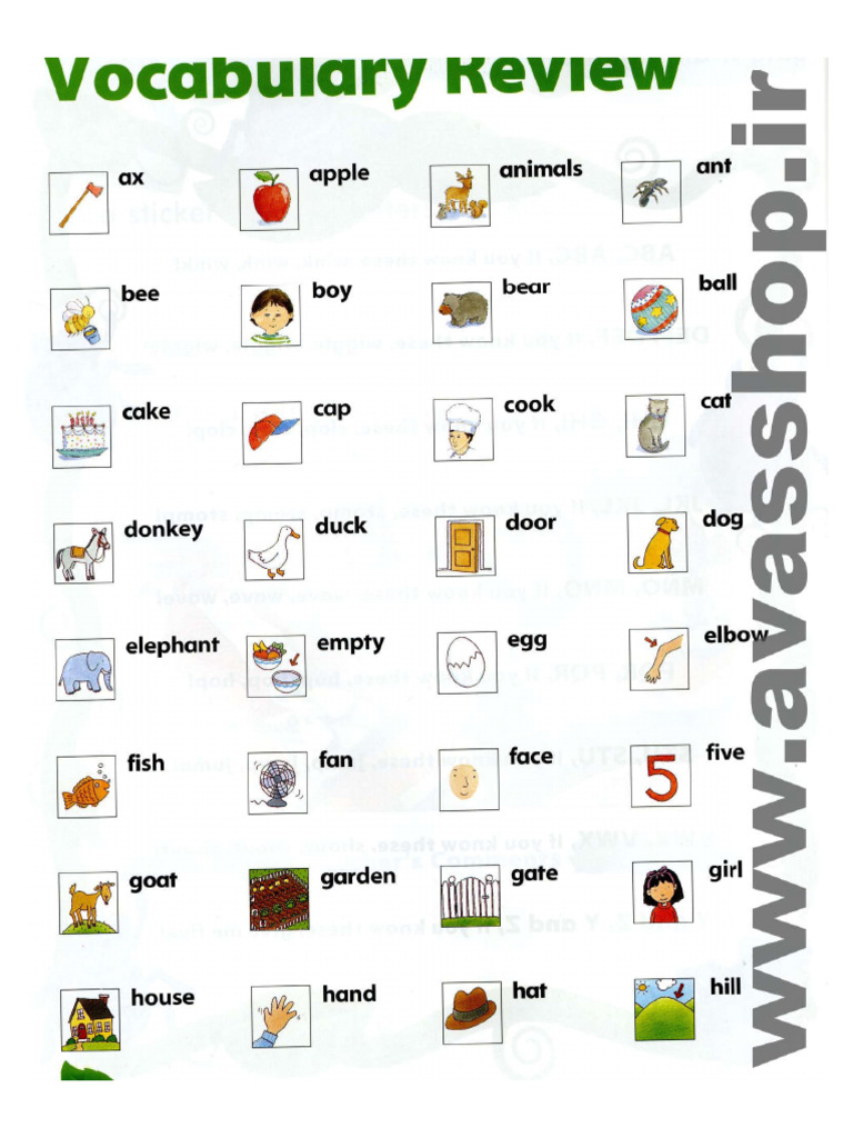 MR Bugs Glossary | PDF