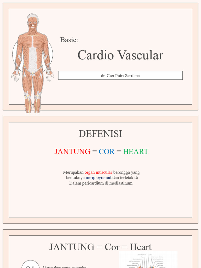 Anatomi Pdf