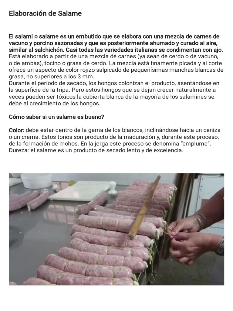 Elaboración Salame Resúmen | PDF
