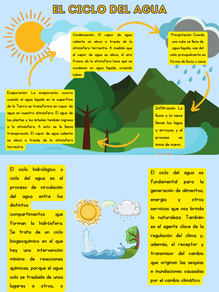 El Ciclo Del Agua | PDF | El ciclo del agua | Agua