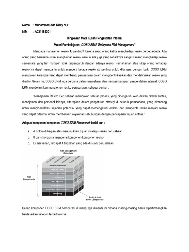 RMK Pengauditan Internal - COSO ERM "Enterprise Risk Management" | PDF