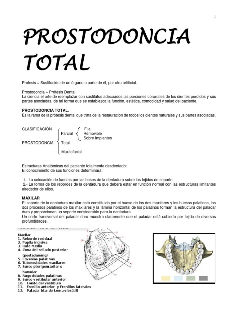 Anatomía y Soporte en Prostodoncia Total | PDF | Dentadura postiza | Hueso