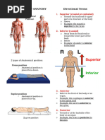 Body Cavities, Regions and Quadrants | PDF | Abdomen | Anatomy