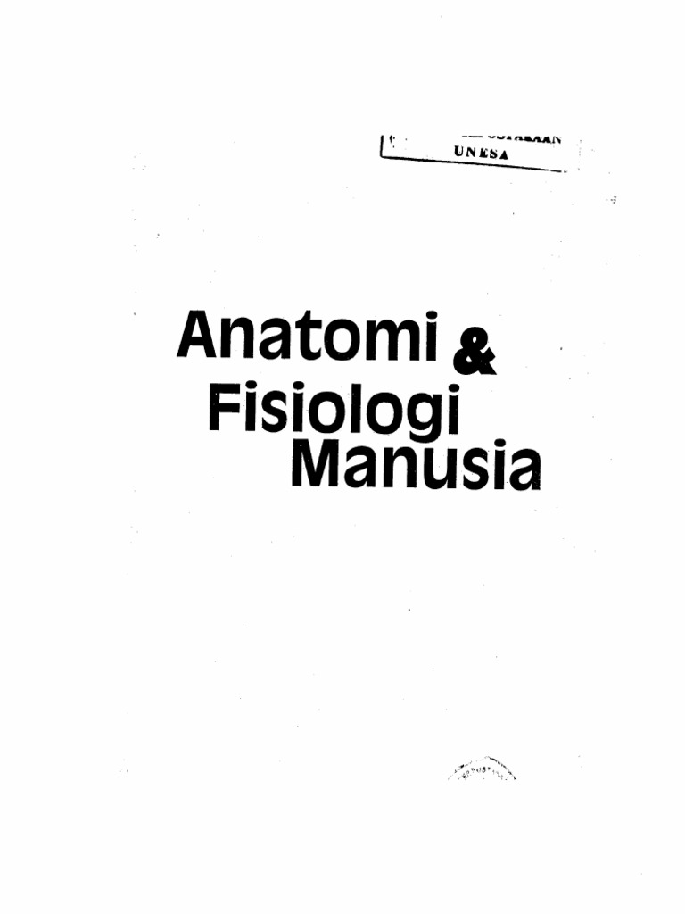Anatomi And Fisiologi Manusia Setiadi Pdf 