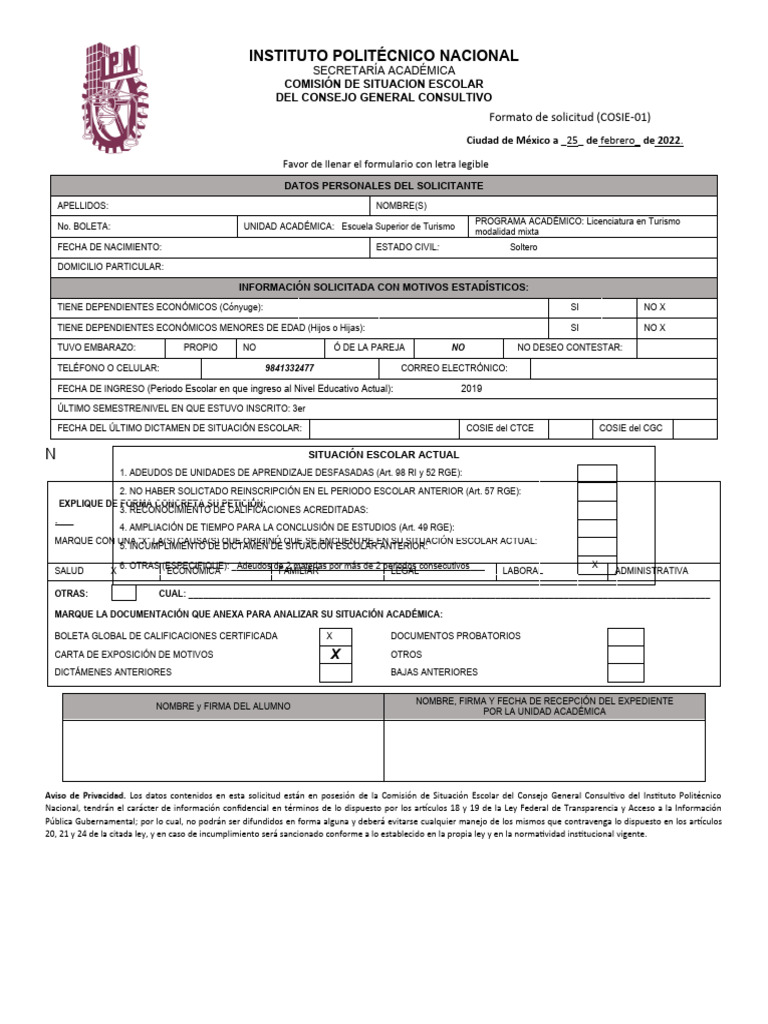 Formato de COSIE-1 | PDF