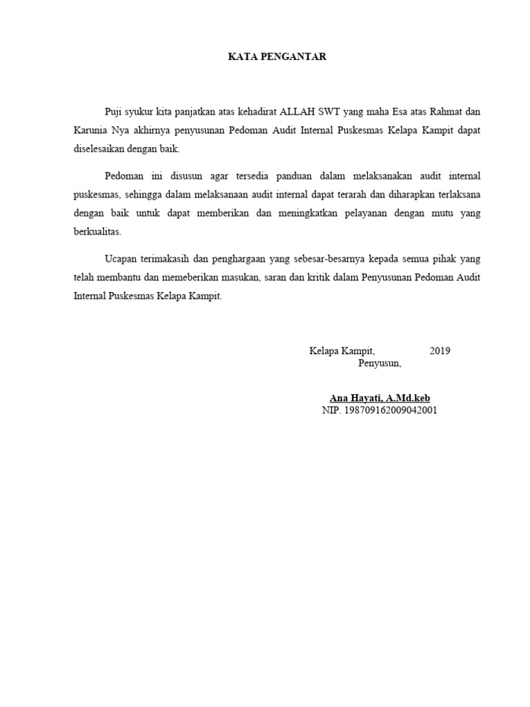 Pedoman Audit | PDF | Karier & Perkembangan | Bisnis