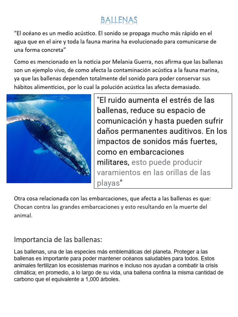 BALLENAS | PDF