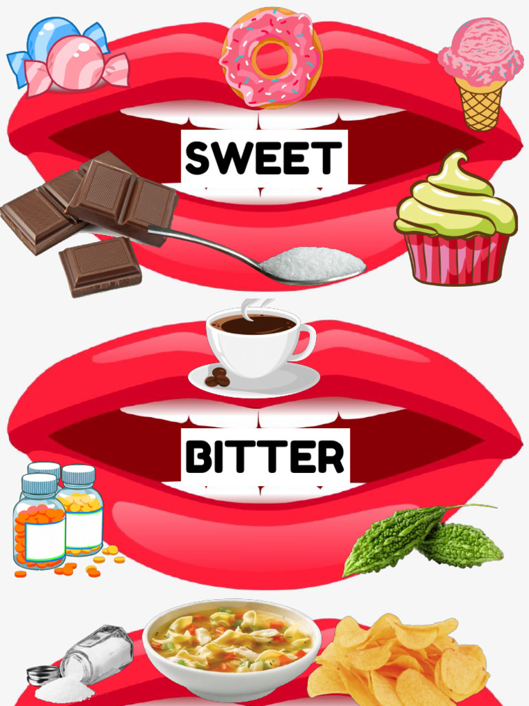 Sense of Taste Flashcard | PDF