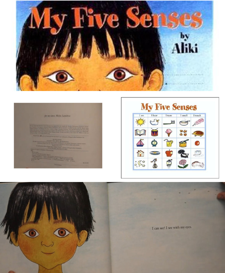 My Five Senses by Aliki | PDF