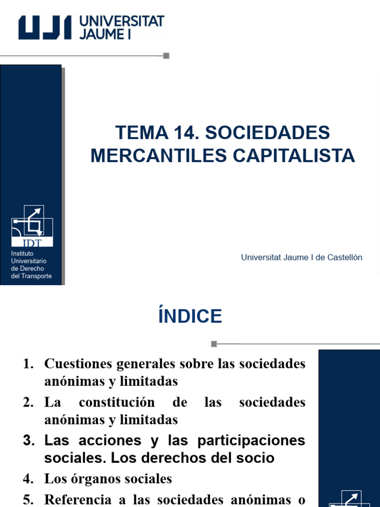 Tema 14 | PDF | Sociedad de responsabilidad limitada | Compartir (Finanzas)
