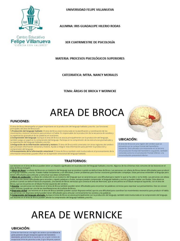 Áreas de Broca y Wernicke | PDF | Afasia | Cerebro