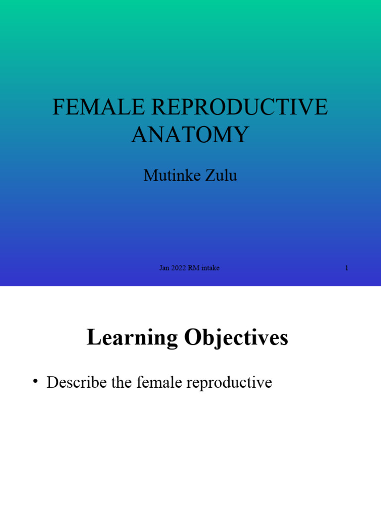 Female Reproductive System | PDF | Uterus | Labia