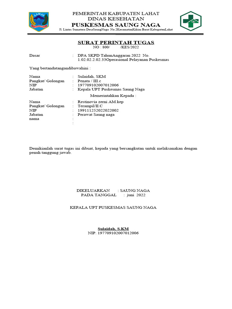 SPJ Posyandu Remaja | PDF